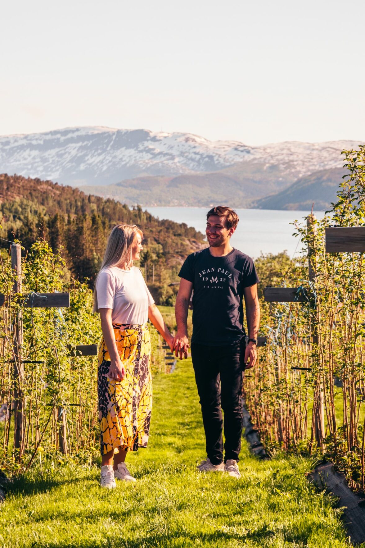 Café and Accommodation at Bjørklund Farm - Visit Bodø